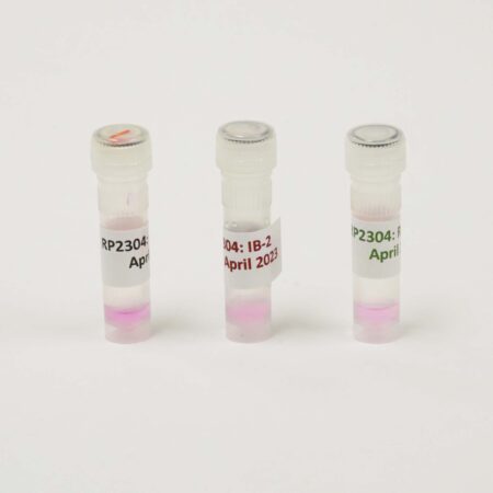 Respiratory Virus Panel | cmpt