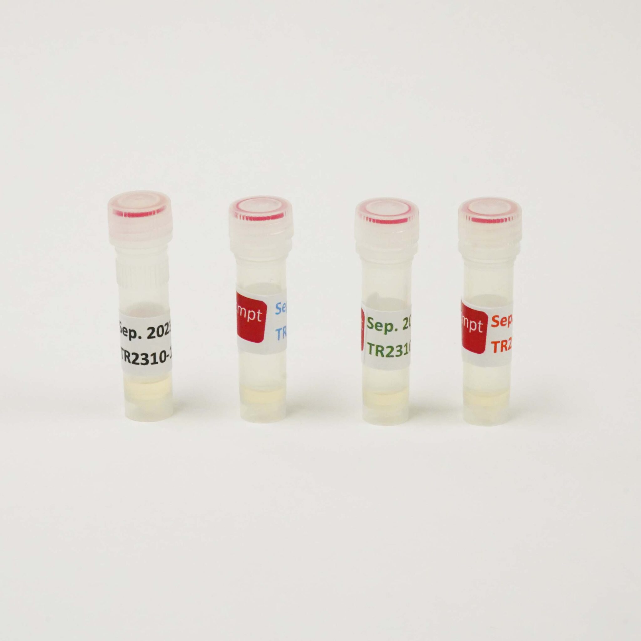 Trichomonas vaginalis | cmpt